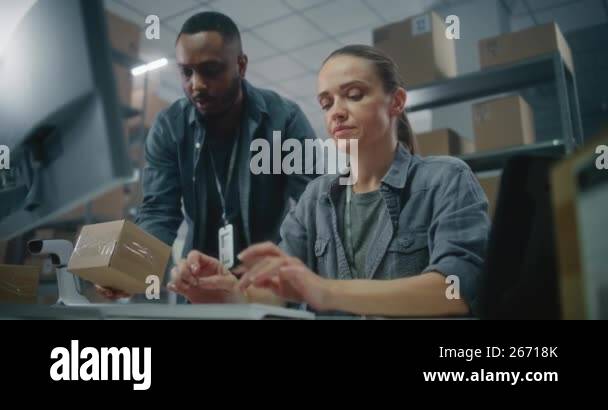 African American warehouse employee scans code on cardboard parcel with barcode scanner. Female ...