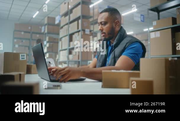 African American post office employee scans parcels with barcode scanner, enters data on laptop ...