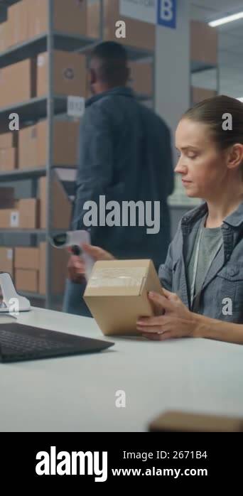 Female post office worker scans cardboard parcel using scanner, enters data on laptop computer ...