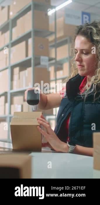 Portrait of female post office employee scanning parcel with barcode scanner, using laptop ...