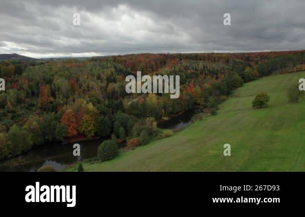 A drone view of the lake in the woods. An aerial view of an autumn ...