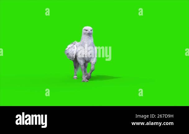Green Screen Hippogriff Mythological Creature Walks Front 3D Animation ...