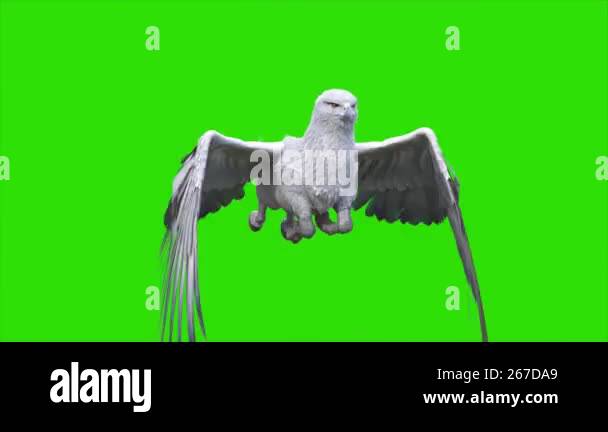 Green Screen Hippogriff Mythological Creature Fly Loop 3D Animation ...
