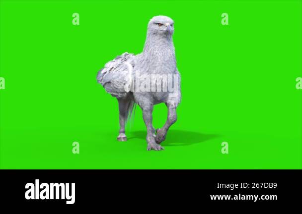 Green Screen Hippogriff Mythological Creature Walkcycle Loop 3D ...