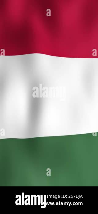Hungary National Flag Waving in The Wind | 4k Vertical Video ...