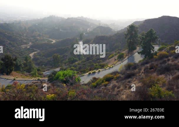 Scenic view of Griffith Park featuring winding roads, lush greenery ...