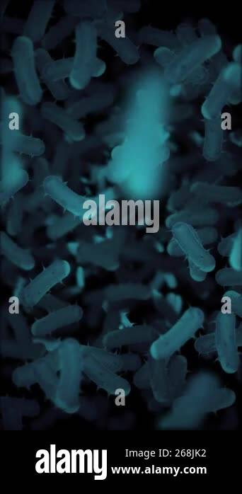 Close up, microscopic view of infectious bacteria cells flowing towards ...