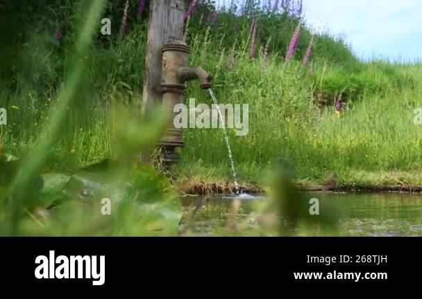 Rusty pipe is dripping water into a pond. The water is clear and the ...
