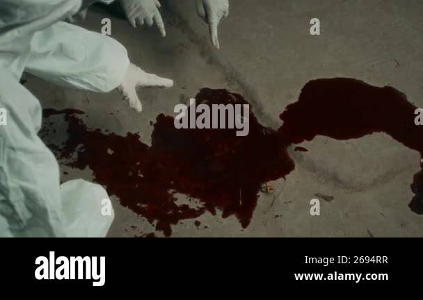 Cropped shot of forensic specialists analyzing large blood stain on ...