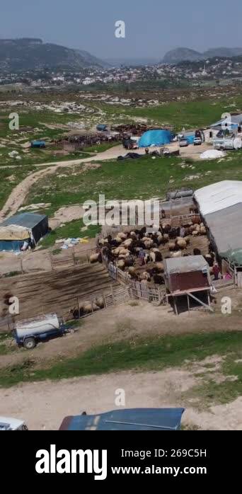 Aerial view of two neighboring farms with a drone, overhead view of ...