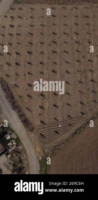 Overhead view from the agricultural land and dirt road between the ...