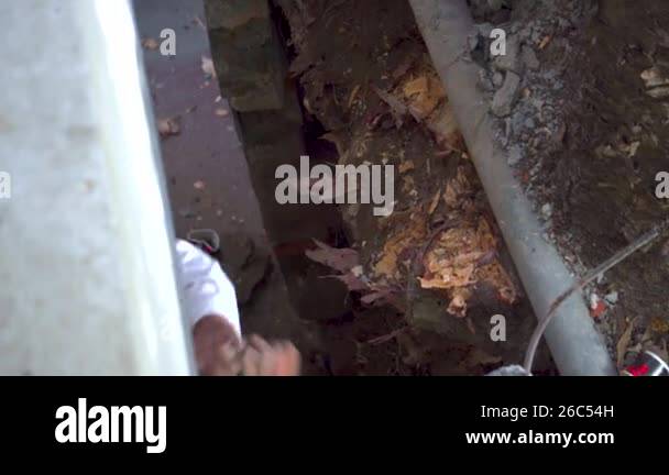 Integrity of india Stock Videos & Footage - HD and 4K Video Clips - Alamy