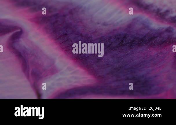 Enamel ink. Pink fluid. Figurative texture of paint flow pouring ...