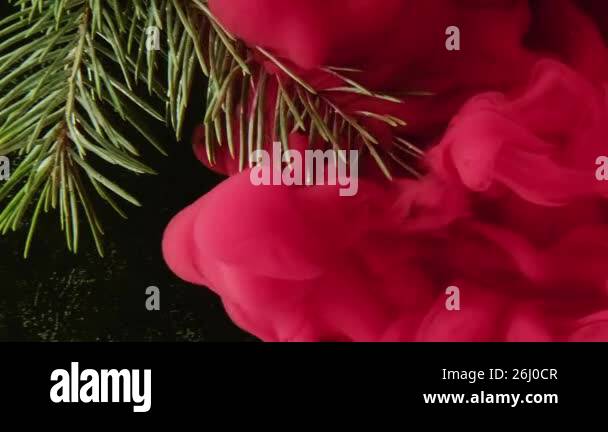 Vapor fir sprig. Smoke cloud. Green tree plant in red color ink water ...