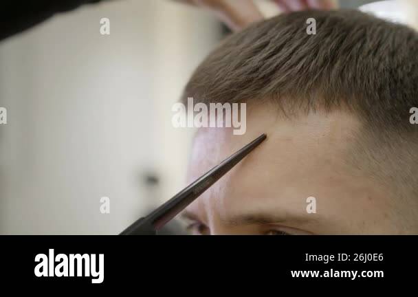 A detailed close up view of a professional haircut being expertly ...