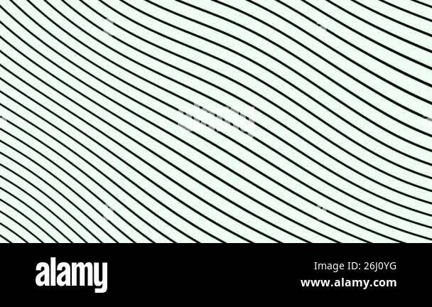 black abstract wavy lines animated on a white background animated ...
