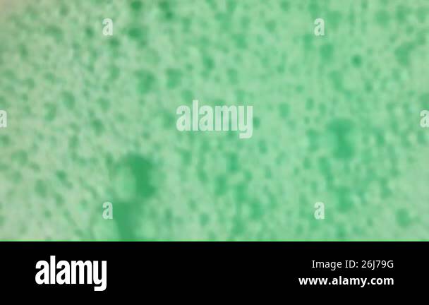 A rippling bubbly turquoise-green surface. Rocking water surface with ...