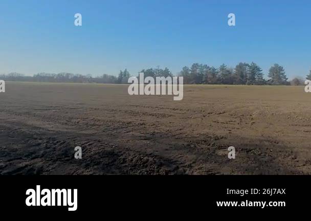 A serene field under a bright blue sky, dotted with trees, creates a ...