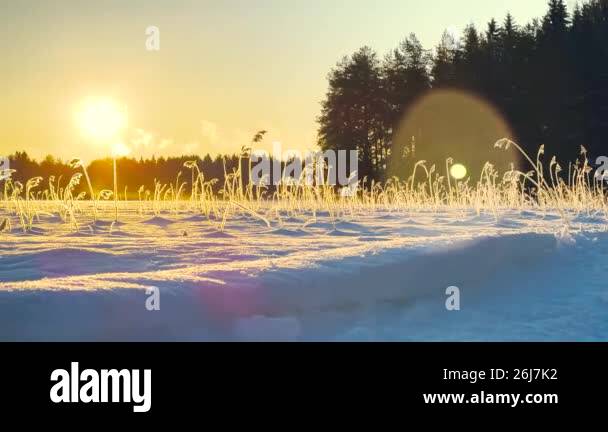 Christmas slowmotion snowfall in 4K video in building background with ...