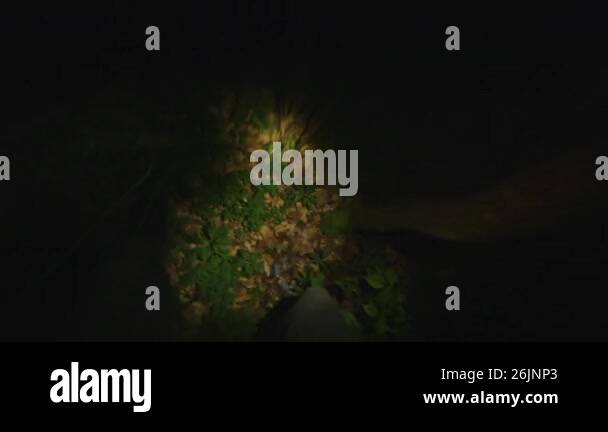 In the dark night hands man detective with light searches evidence ...