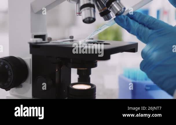 Hands in protective gloves scientist using a microscope in the ...