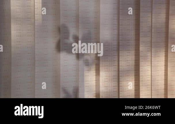 Shadow from leaves on fabric vertical beige blinds Stock Video Footage ...