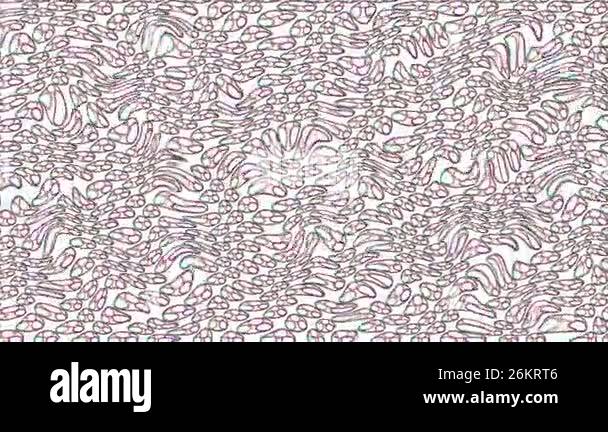 turbulent fluid colored pattern moving from left to right Stock Video ...