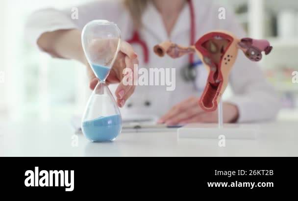 Understanding reproductive health through anatomical models and ...