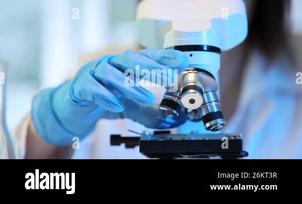 Scientist examining samples under a microscope and adjusting the ...
