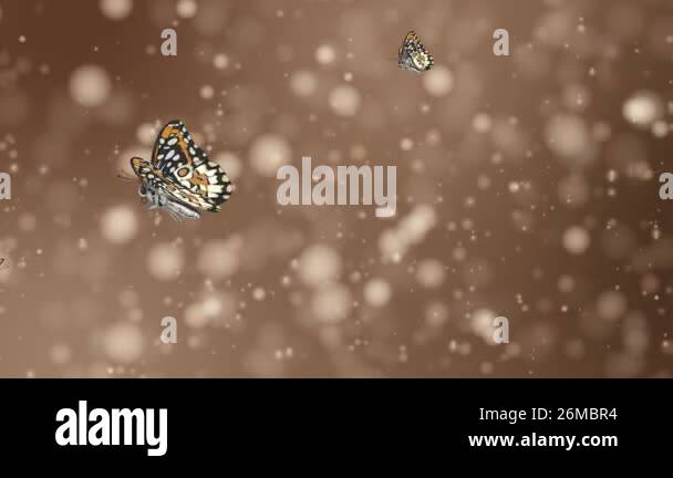 Animated butterflies flying amidst shimmering particles Stock Video ...