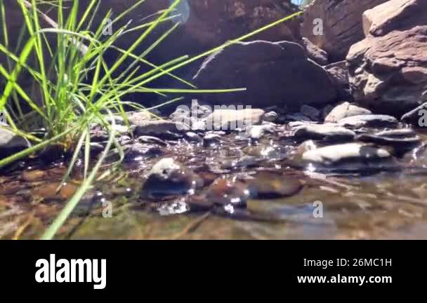 Gentle water flow Stock Videos & Footage - HD and 4K Video Clips - Alamy