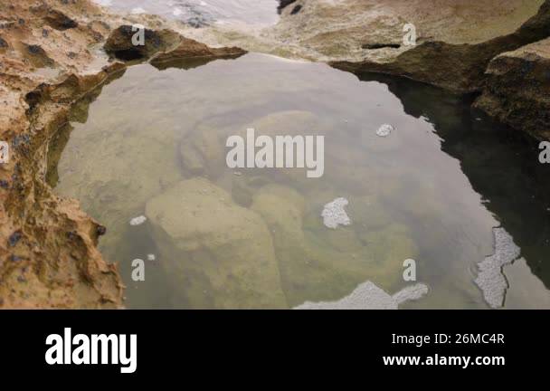 Rockpool with marine life on rocky shore Stock Video Footage - Alamy