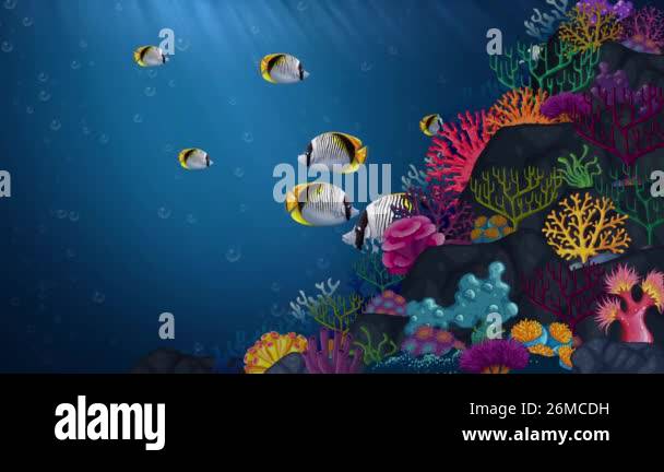 Animated tropical fish swimming among vibrant coral Stock Video Footage ...