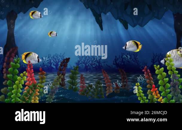 Animated exploration of a vibrant coral reef ecosystem Stock Video ...