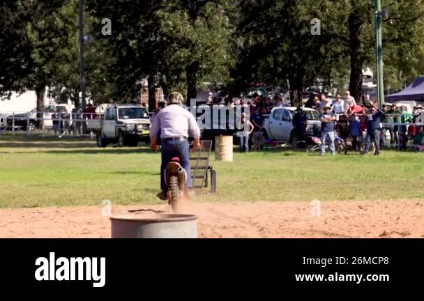 Rider jumps over obstacles in front of crowd Stock Video Footage - Alamy