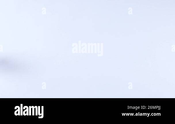 A yellow ball bounces across a white background Stock Video Footage - Alamy