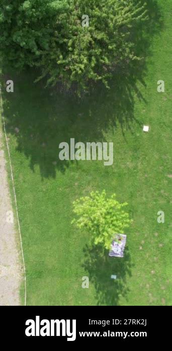 Tree covered walkways Stock Videos & Footage - HD and 4K Video Clips ...