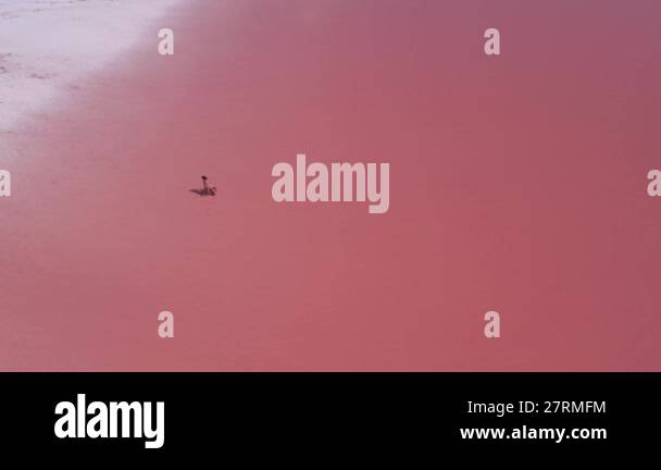 An elegant aerial view of a woman in a flowing pink dress walking ...