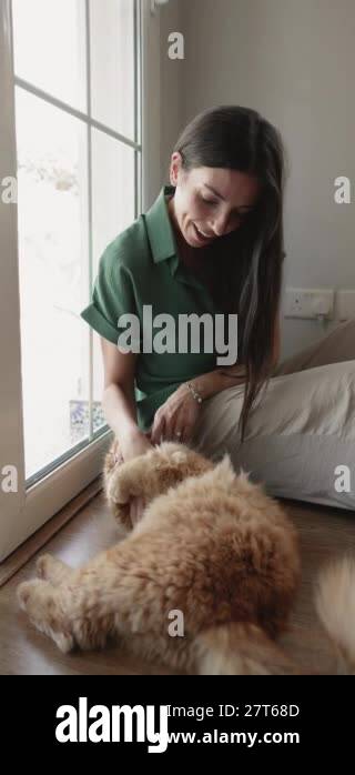 Vertical view of pretty young woman enjoy playtime and caress with ...