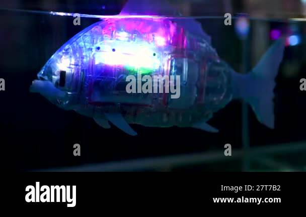 Rostov-on-Don, Russian Federation - December 27, 2022.Robot fish swims ...