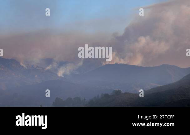 The Malibu fire disaster in Los Angeles has caused extensive ...