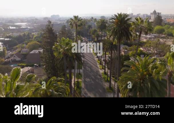 Aerial drone shot over palm lined streets of Beverly Hills, iconic ...