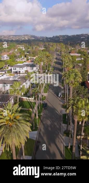 Aerial view of Beverly Hills, view of a lush palm lined street located ...
