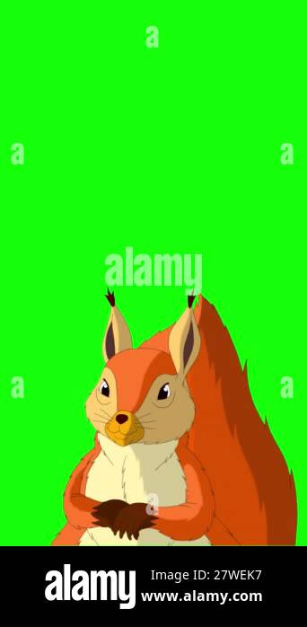 Red Squirrel. Handmade animated HD footage isolated on green screen ...