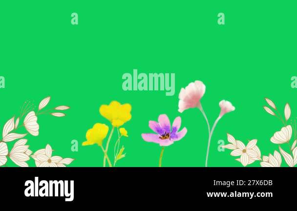 Hand-drawn floral border at the bottom High-quality 4K 60 fps ...