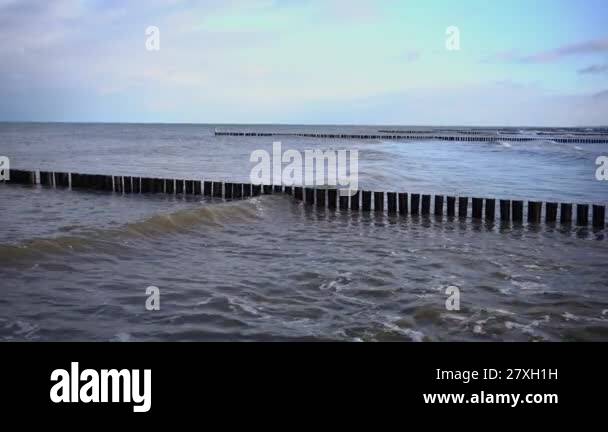 swimming in the North Sea in winter in January. High quality 4k footage ...