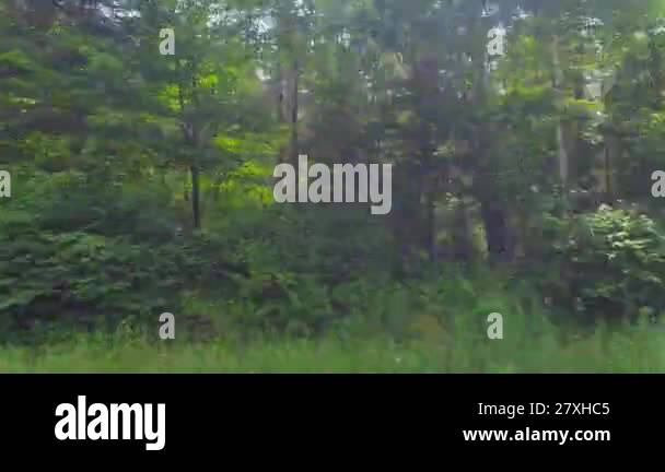 Point of view, left side car view. Driver window side driving view, POV ...