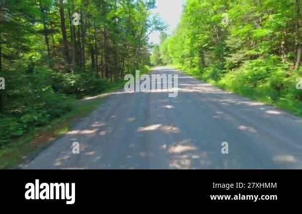 Motocross racer driving plate POV, rides on bumpy offroad, fast driving ...