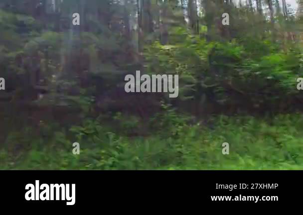 Point of view, left side car view. Driver window side driving view, POV ...