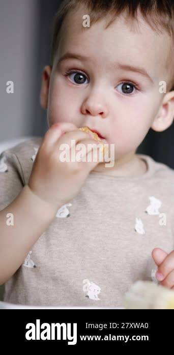 Lovely thoughtful baby boy eating a cookie. Kid sits at high chair ...